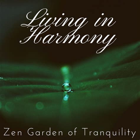 Apple Music 上Spa Essentials的专辑Living in Harmony Zen Garden of