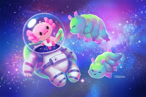 Cute Axolotl Wallpapers Wallpapers