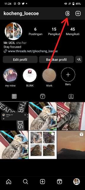 Cara Menampilkan Threads Di Bio Instagram Dengan Mudah Rancah Post