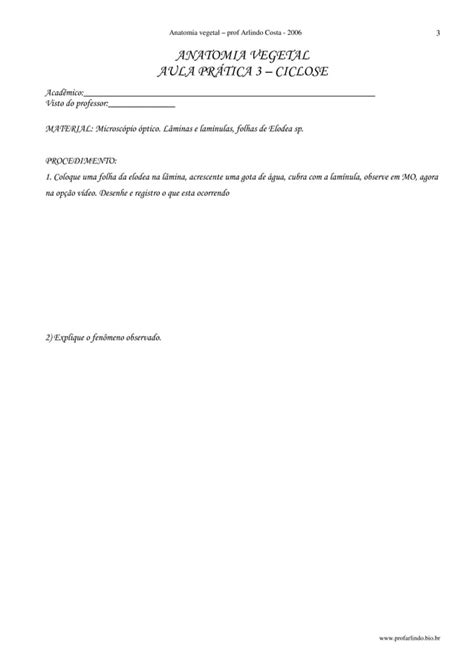 Anatomiavegetalaulapr Tica Pdf