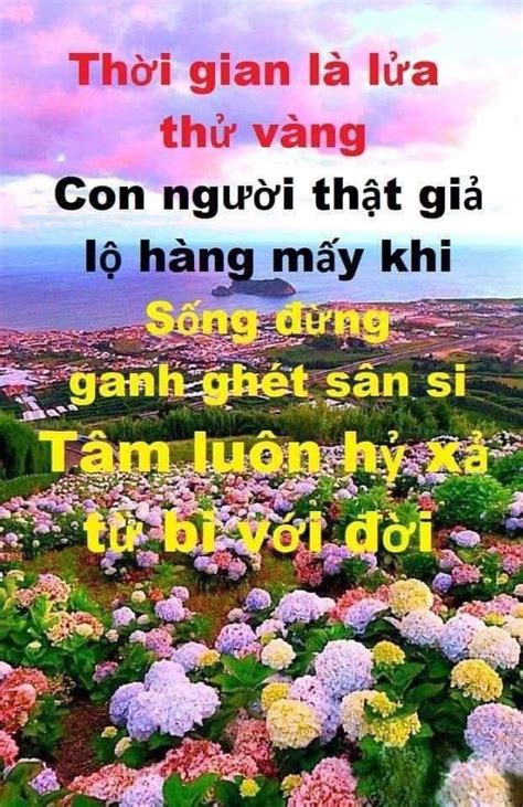 Ghim của Hoa Phượngđỏ Yang trên Chuẩn Cài đặt máy ảnh Hình ảnh Chụp ảnh