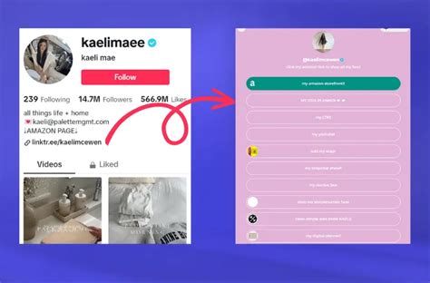 How To Add A Link To TikTok Bio An Easy Guide Oct 2024