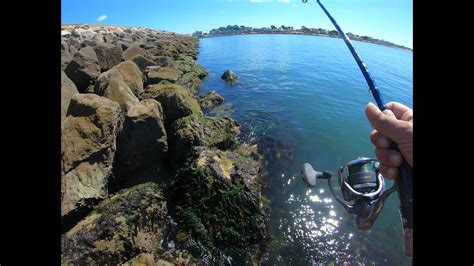 Peche Du Bar Aux Leurres Juillet Youtube