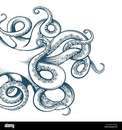 Dibujadas a mano pulpo tentáculos dibujado en estilo de grabado aislado