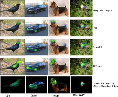 visualisation of discriminative region proposing by the vit‐based download scientific diagram