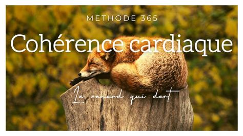COHERENCE CARDIAQUE 5 MINUTES POUR UN SOULAGEMENT IMMEDIAT DU STRESS