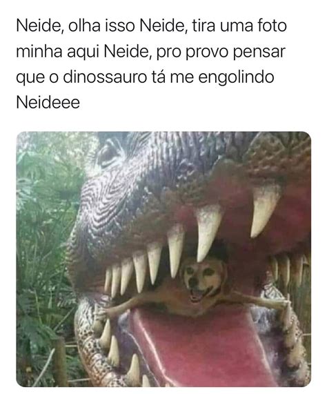 Se não me quis assim Não me procure quando eu estiver assim Memes