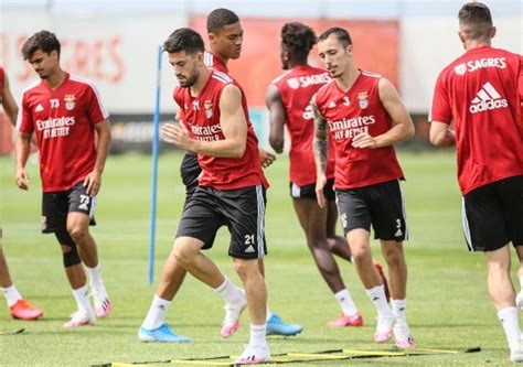 Qué Canal Transmite Benfica Vs Tondela Por La Primeira Liga De