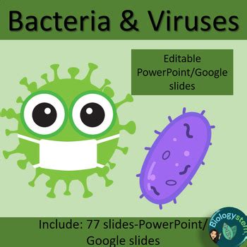 Bacteria And Viruses PowerPoint Lesson By Biologystem TPT