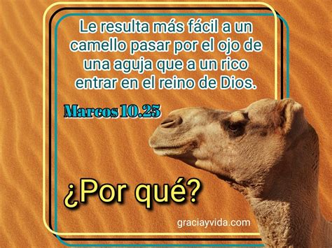 Los Ricos Y El Reino De Dios Gracia Y Vida Marcos 10 25