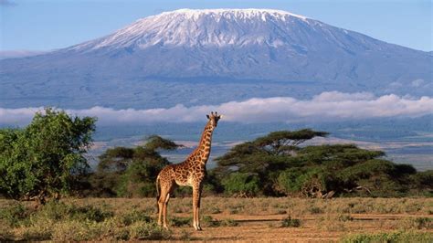 Total 53 imagen fond d écran kilimandjaro fr thptnganamst edu vn