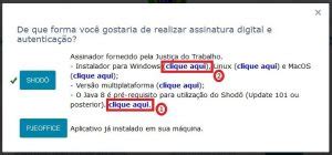 Como Configurar O Shodo Seu Guia Definitivo Consultoria E