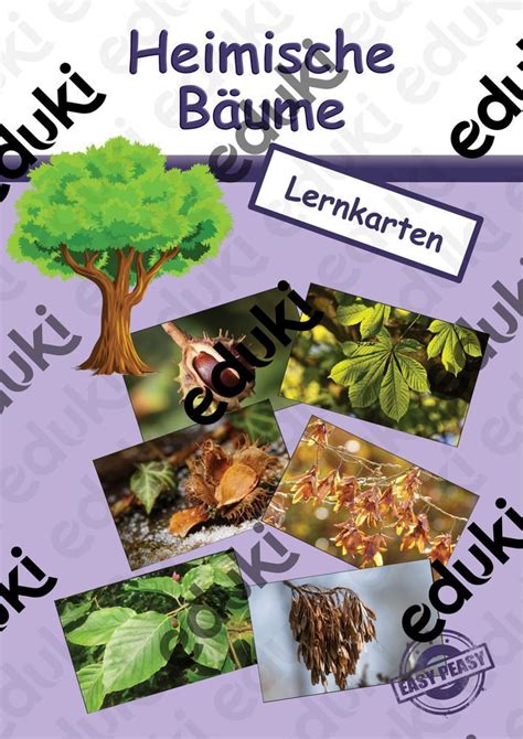 Pin Auf Biologie Sekundarstufe Unterrichtsmaterialien