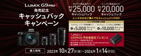 Panasonic Lumix G Pro Ii Dc G M
