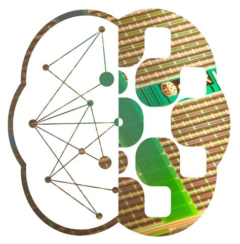 efficient multi objective neural architecture search with evolutionary algorithms thomas