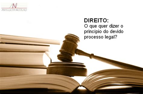 Ana Lucia Nicolau Advogada O que quer dizer o princípio do devido