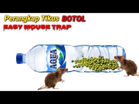 Cara Membuat Jebakan Tikus Mouse Trap Dari Botol Aqua YouTube