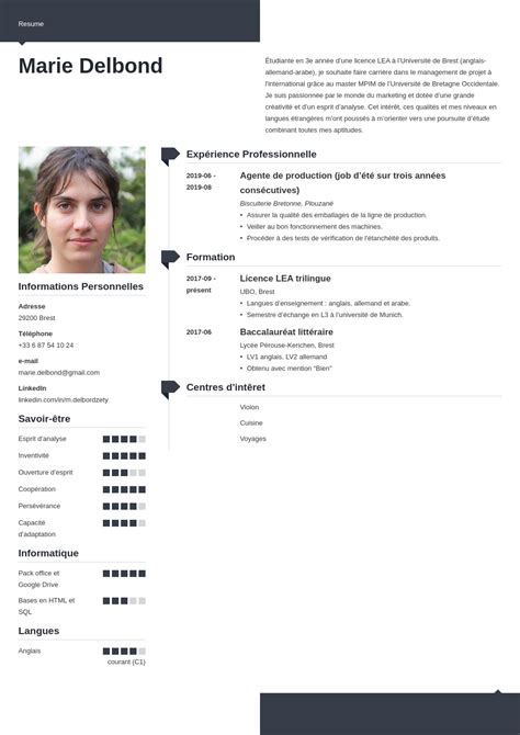 Comment D Crire Son Niveau De Langue Sur Le Cv