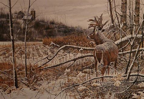 Pin On Deer Art