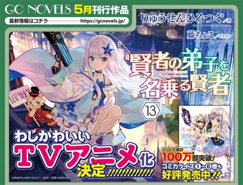 わしかわいい系 美少女転生冒険ファンタジー賢者の弟子を名乗る賢者TVアニメ化 5枚目の写真画像 アニメアニメ