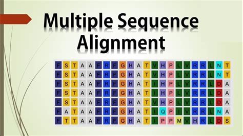 multiple sequence alignment youtube