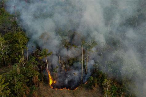Día Internacional contra el Cambio Climático cuál es el objetivo de
