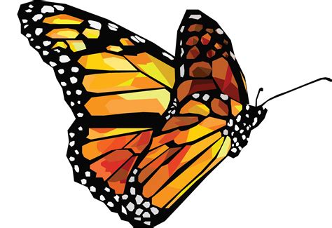 Cool Butterfly Svg
