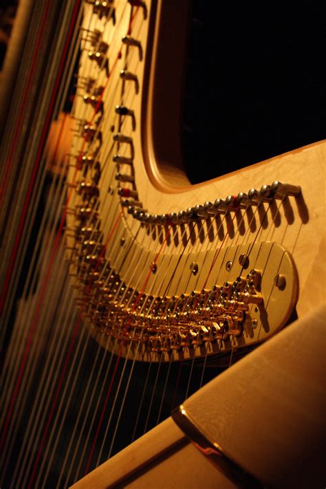 Free Images Acoustic Guitar Electric Guitar Musical Instrument