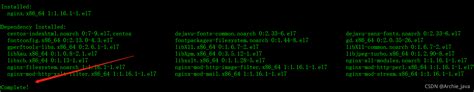 linux下用yum安装nginx出现no package nginx available 的问题与解决方案 csdn博客