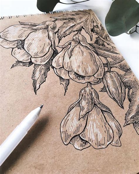 Pin By Maxie Jingles On Lewis Journal Ink Drawing Flower Drawing