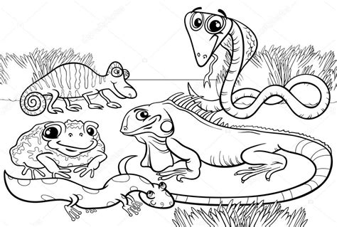 Página para colorear de reptiles y anfibios Vector de stock 53066709