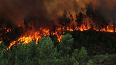 Superficie agrícola sufre consecuencias de incendios forestales Mundoagro