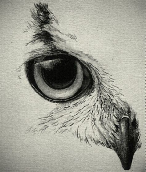 Pin By Raquel Austin On Boredpanda In 2024 Owl Tattoo Design Owl