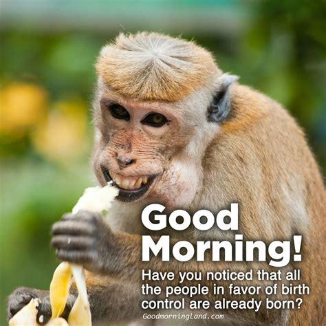 Funny Images And Good Morning Funny Images Good Morning Images