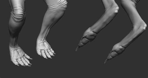 Kangaroo Female Topology UV FlippedNormals
