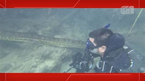 Sucuri gigante de quase 7 metros é flagrada embaixo d água por
