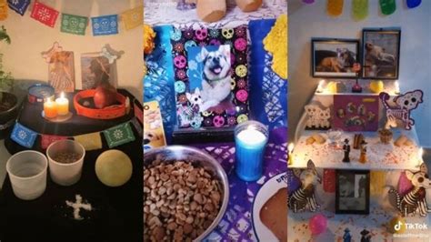 Día de Muertos Cuándo llegan las almas de las mascotas y qué poner en