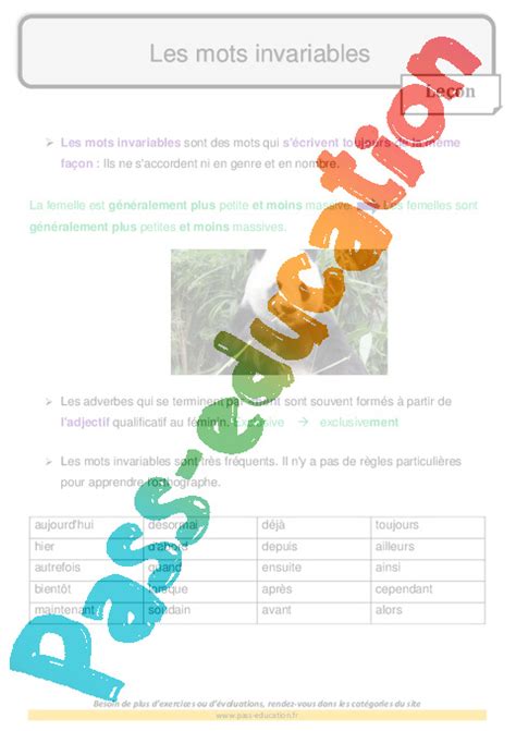 Les Mots Invariables Cm Soutien Scolaire Aide Aux Devoirs Pass
