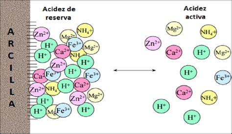 Estrategias para reducir la acidificación de suelos Intagri S C