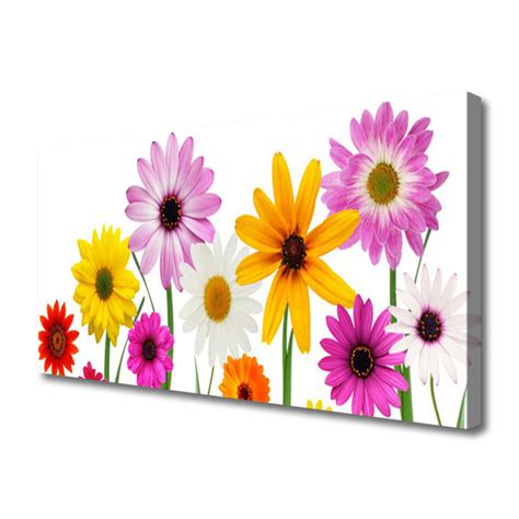 Kolorowe Kwiaty Natura Obraz Canvas Tulup Pl