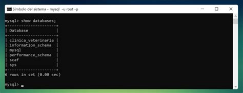 Consultas INSERT UPDATE Y DELETE En MySQL Norvic Software