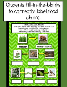 Food Chains Google Slides Digital Activities By Picket Fence Teaching