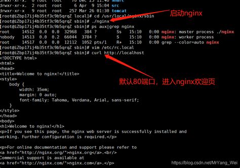 linux centos 8 0 下nginx安装与配置 centos8 安装nginx csdn博客