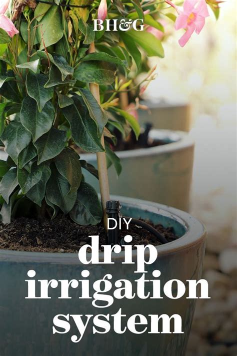 How To Make A DIY Drip Irrigation System For Potted Plants Drip