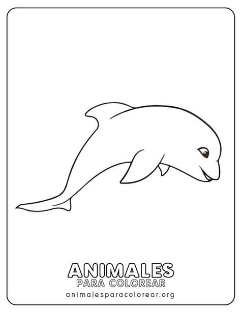 Top Imagen Dibujos De Delfines Para Colorear E Imprimir Viaterra Mx