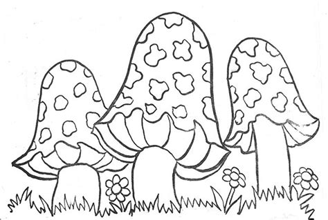 37 Desenhos De Cogumelos Para Imprimir E Colorir Pintar