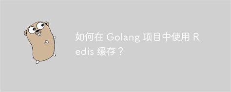 How To Use Redis Cache In Golang Project Golang Php Cn