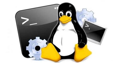 C Mo Crear Directorios Y Subdirectorios En Linux Con El Comando Mkdir