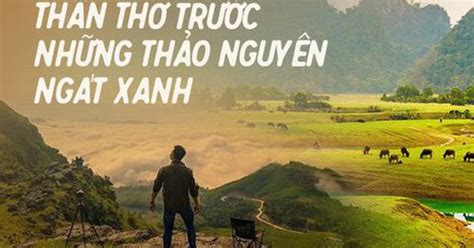 Nh Ng Mi N Th O Nguy N Xanh Vi T Ph I M Nh Ph I M Nh L M Cho Du