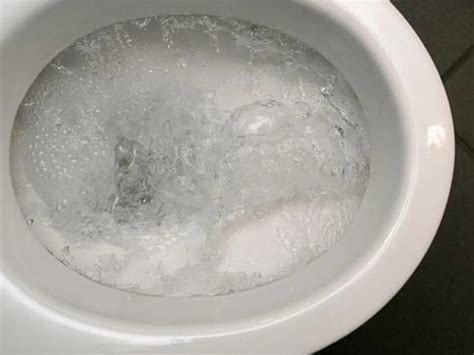 Revelan Por Qu Hay Que Bajar La Tapa Del Inodoro Antes De Tirar La